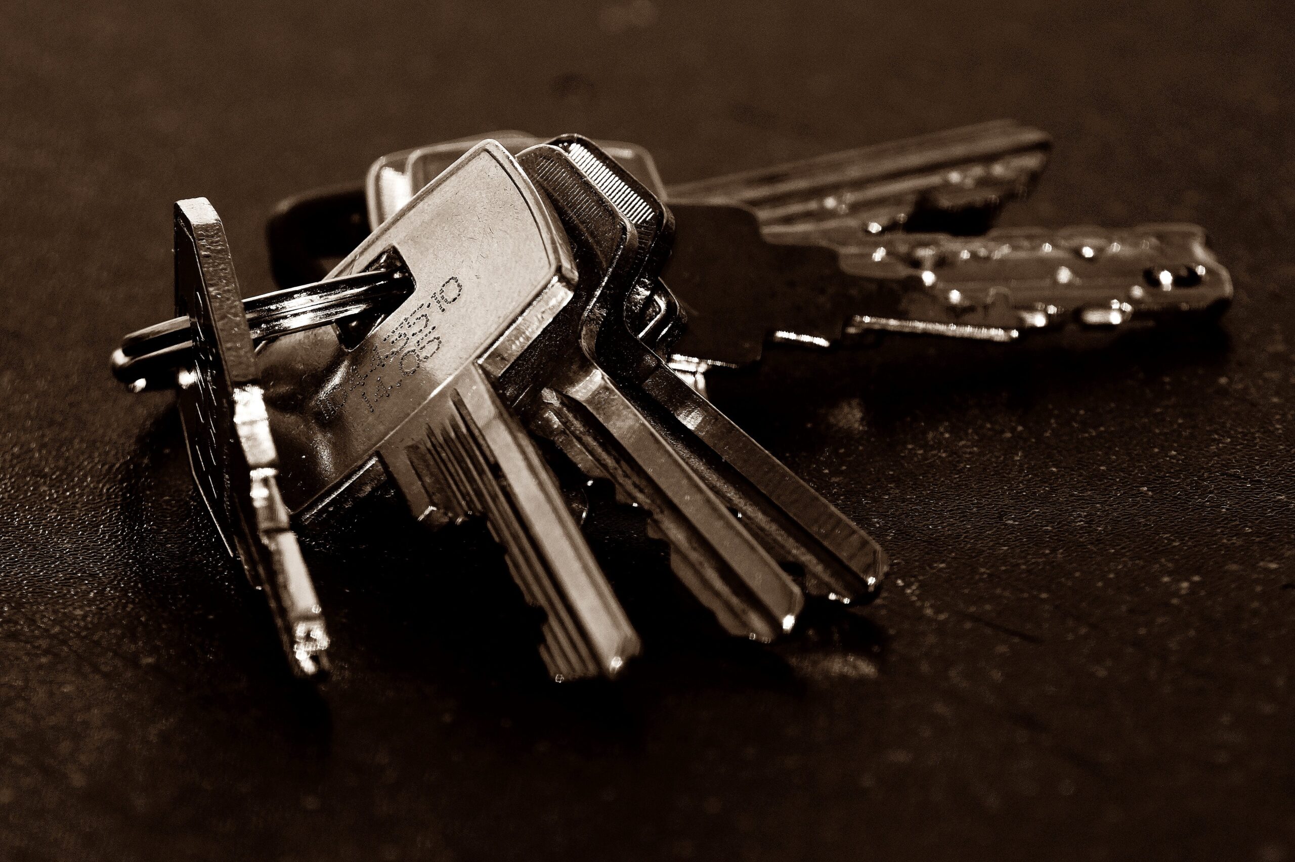Commercial and Residential Locksmith Services Treasure Valley